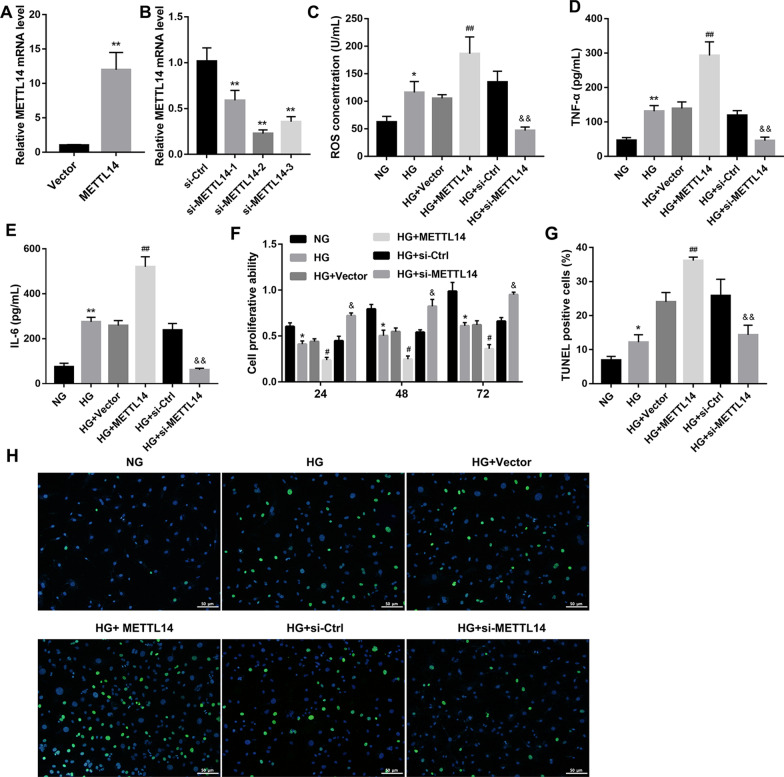 MDA(Malondialdehyde) ELISA Kit - FineTest ELISA Kit | FineTest Antibody ...