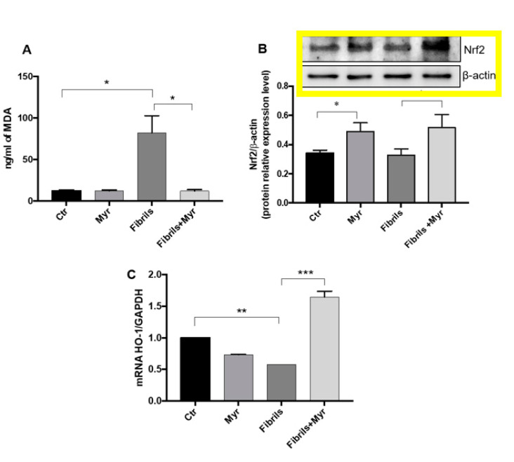 MDA(Malondialdehyde) ELISA Kit - FineTest ELISA Kit | FineTest Antibody ...