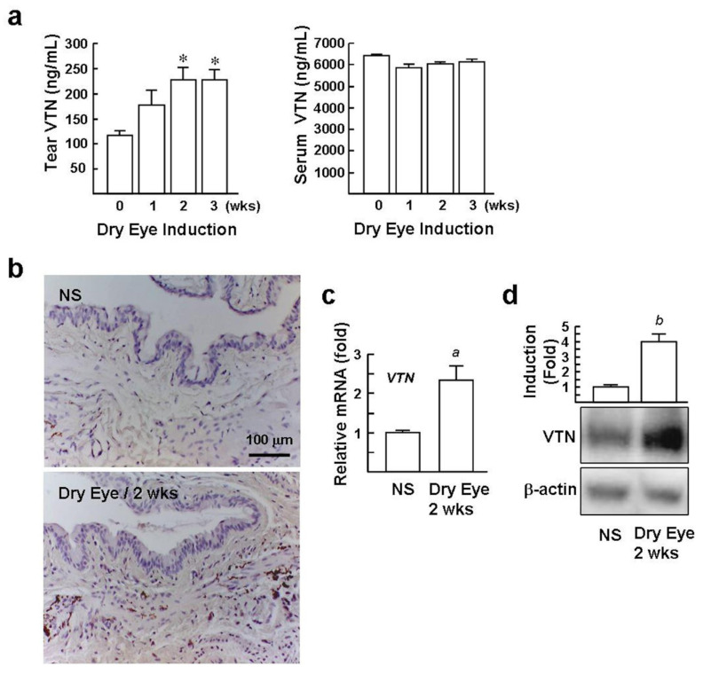 Mouse Vtn(Vitronectin) ELISA Kit - FineTest ELISA Kit | FineTest ...