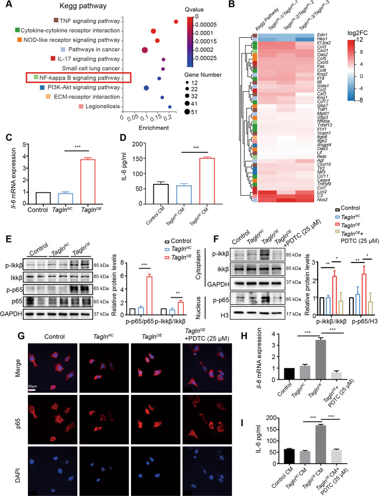 T3(Triiodothyronine) ELISA Kit - FineTest ELISA Kit | FineTest Antibody ...