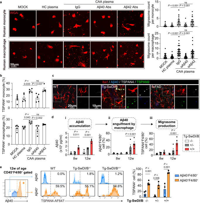 Mouse NEFL(Neurofilament light polypeptide) ELISA Kit - FineTest ELISA ...
